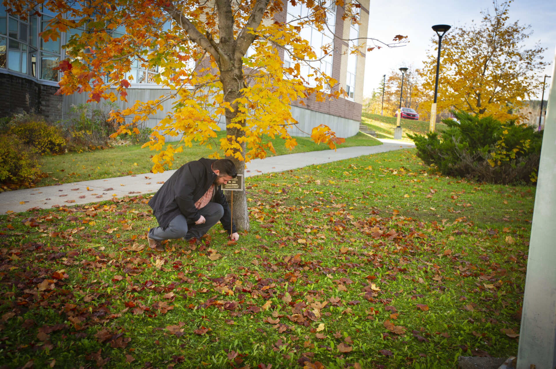 Memorial University, Grenfell Campus Tree Dedication Ceremony - Science ...